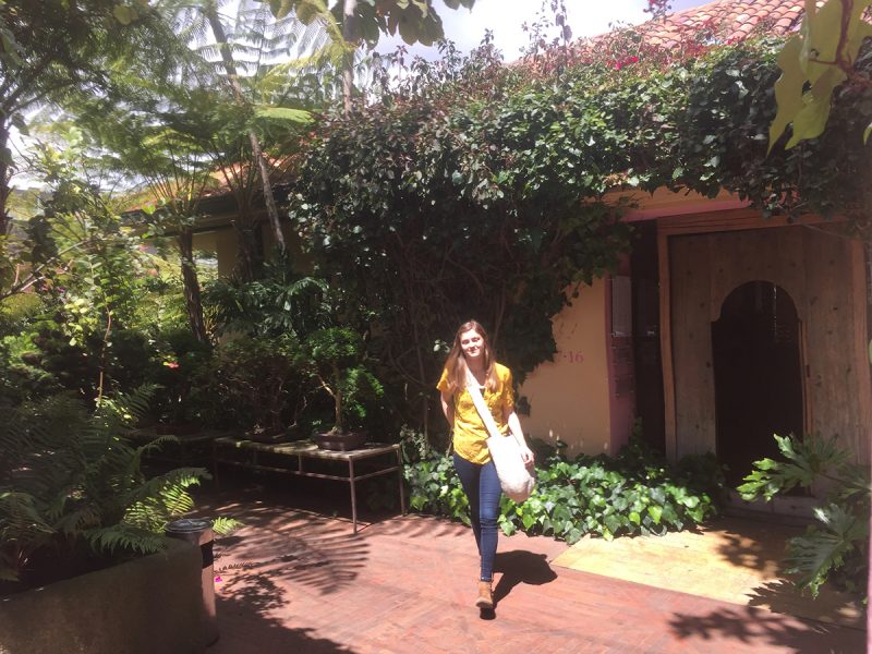 Emerson Grad Heads to Colombia to Report on Art, Indigenous Culture ...