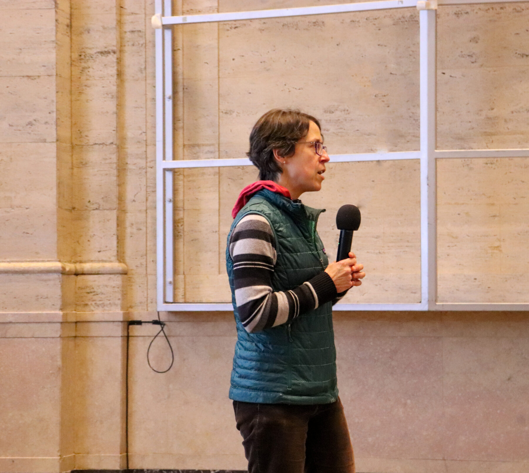 'Training Our Future Colleagues': CSD Faculty Symposium Celebrates ...