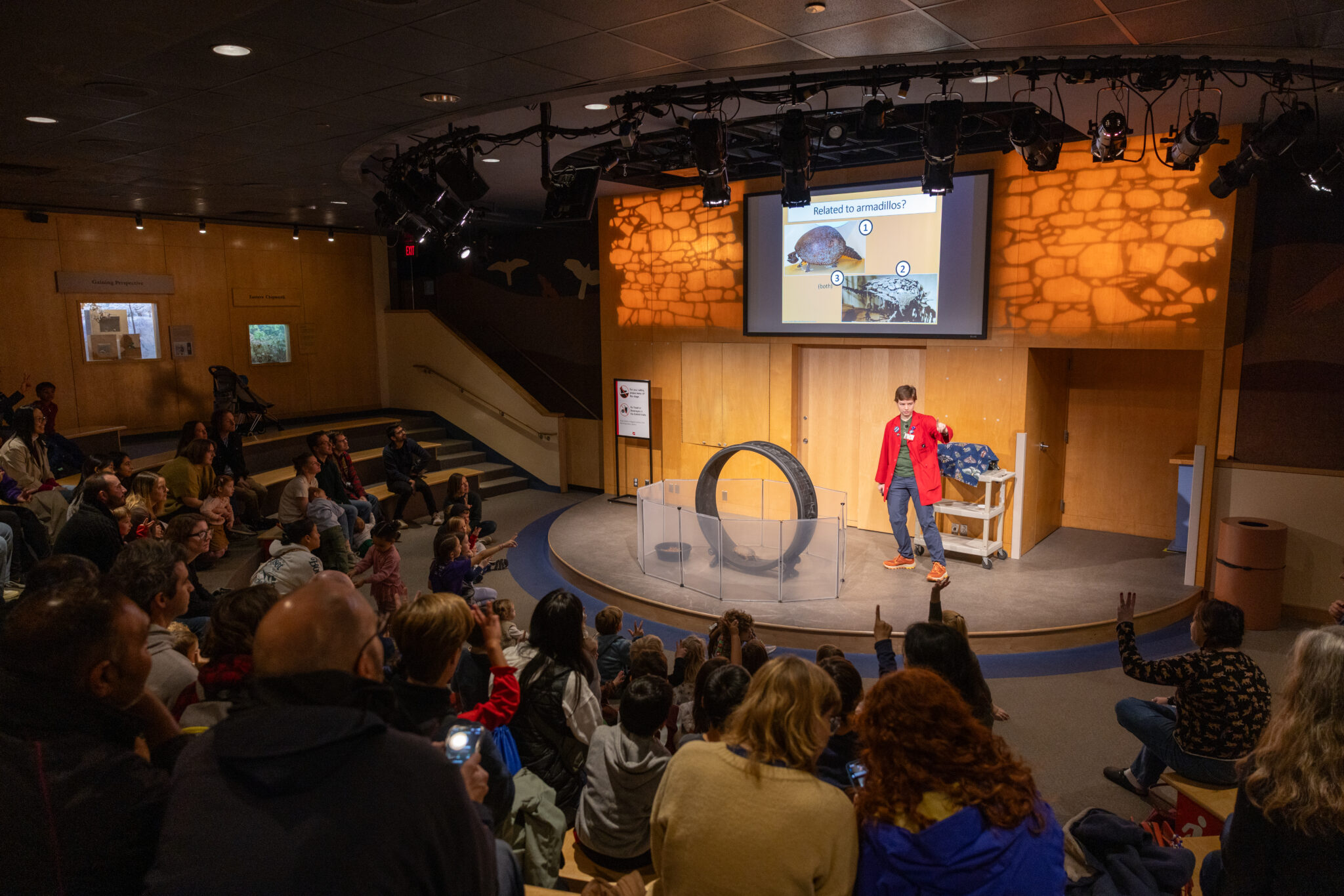 Emerson Takes Over the Museum of Science, Questioning What it Means to ...